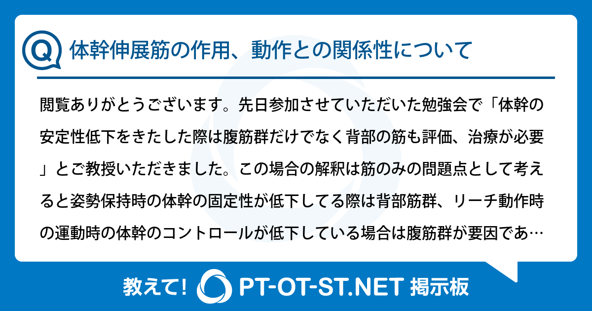 体幹伸展筋の作用、動作との関係性について：PT-OT-ST.NET掲示板｜PT-OT-ST.NET