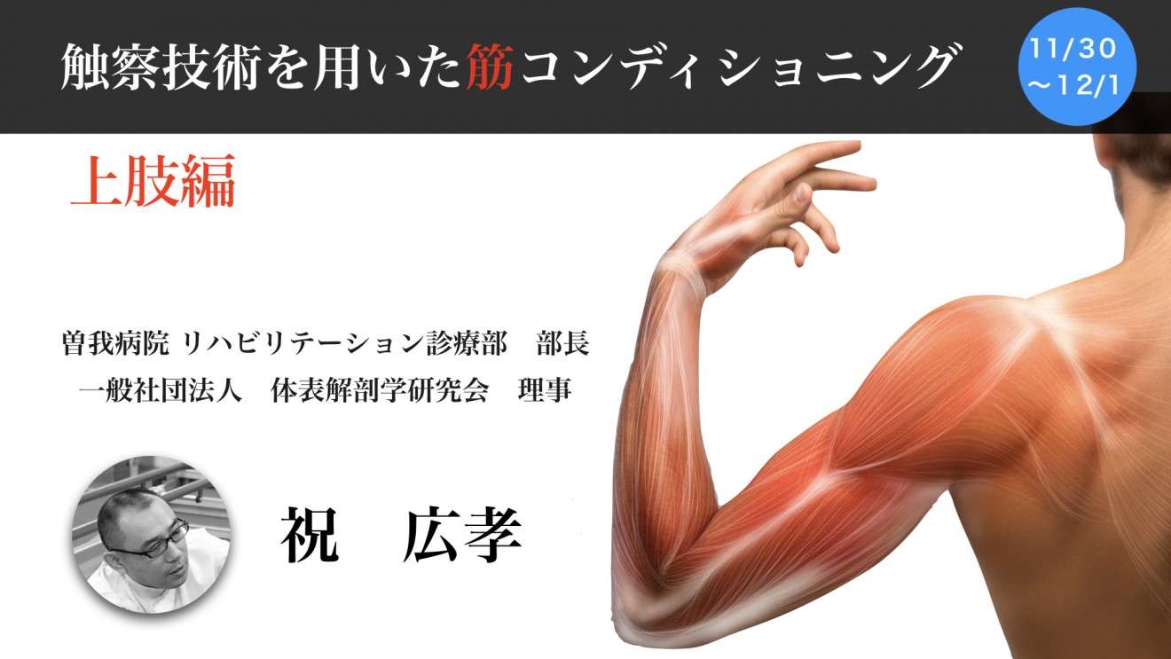 触察技術を用いた筋コンディショニング 上肢編(Muscle Conditioning using Palpation :MCP) 1.5Days｜PT-OT-ST.NET