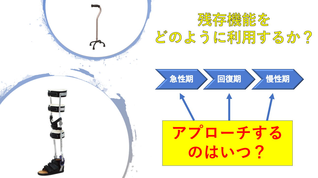 脳科学リハビリテーション協会 】 PT・OT・STに必要な脳画像の見方と解釈 ～臨床ですべき評価と介入～ 立位・歩行編 【 広島会場 】｜PT-OT-ST.NET