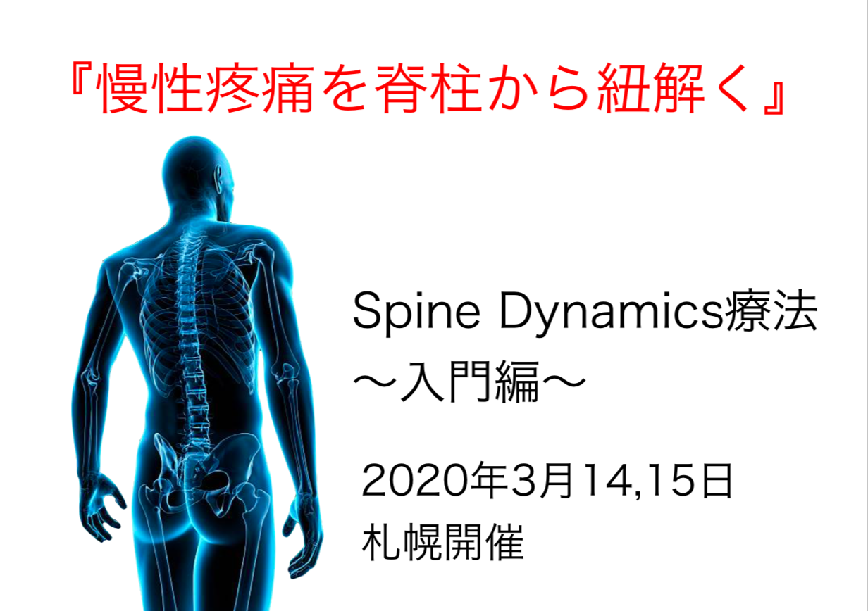 Spine Dynamics療法〜入門編〜 札幌開催｜PT-OT-ST.NET