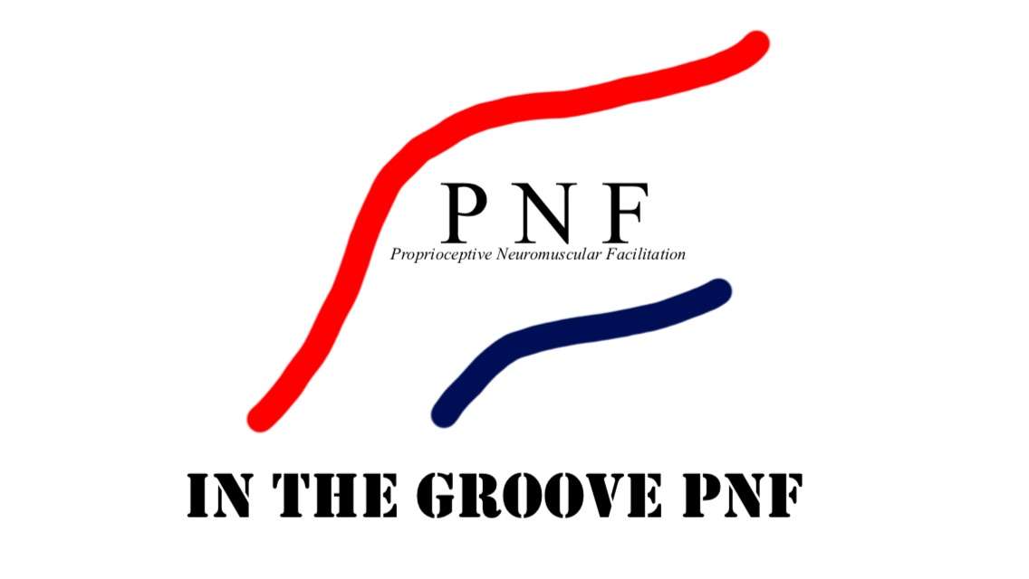 国際PNF協会(IPNFA®)認定ベーシックコース(2022年度第2期)｜PT-OT-ST.NET