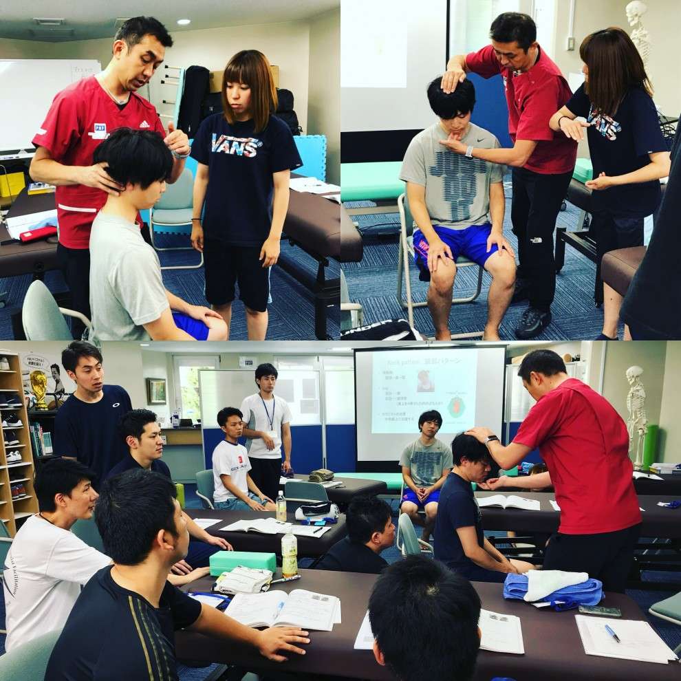 国際PNF協会(IPNFA®)認定ベーシックコース(2022年度第2期)｜PT-OT-ST.NET