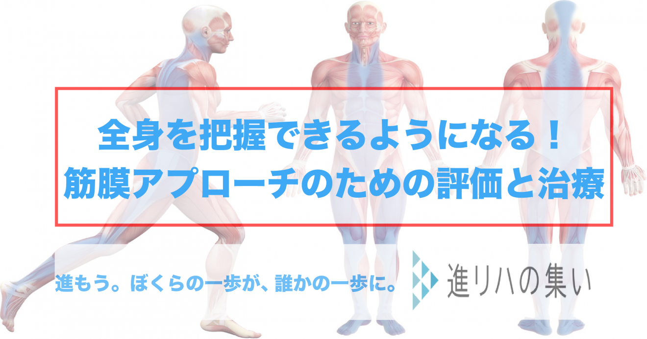 【オンラインセミナー】全身を把握できるようになる‼️筋膜アプローチのため評価と治療（概要編・評価触診編・治療編①②③④）｜PT-OT-ST.NET