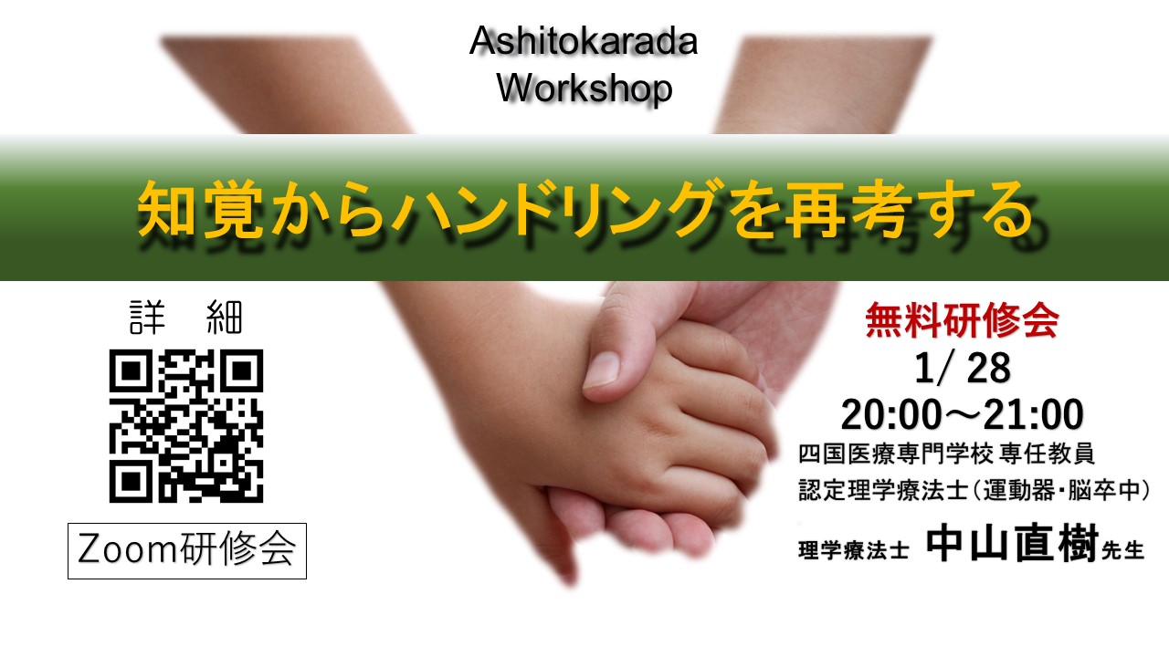 知覚からハンドリングを再考する｜PT-OT-ST.NET