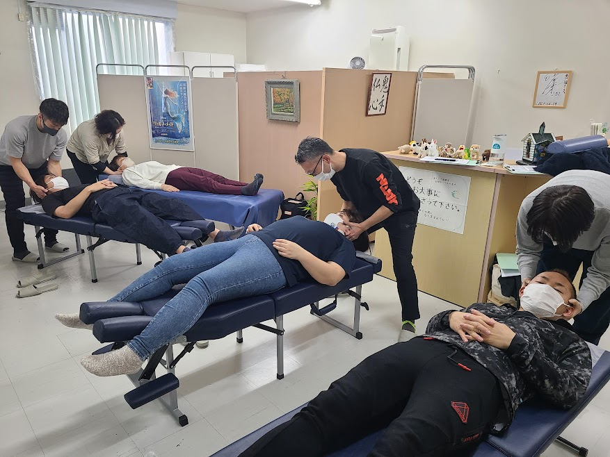 手技療法の基本 ~ 機能障害を特定する触診技術｜PT-OT-ST.NET