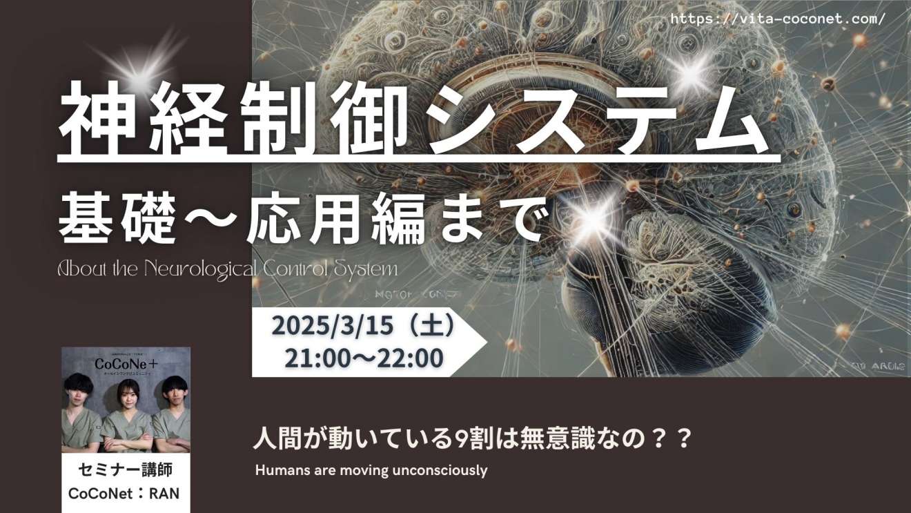神経制御システムについて｜PT-OT-ST.NET