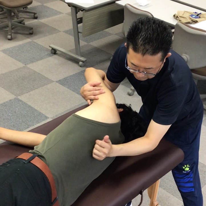 マニュアルセラピスト認定コース preコース 千葉我孫子｜PT-OT-ST.NET